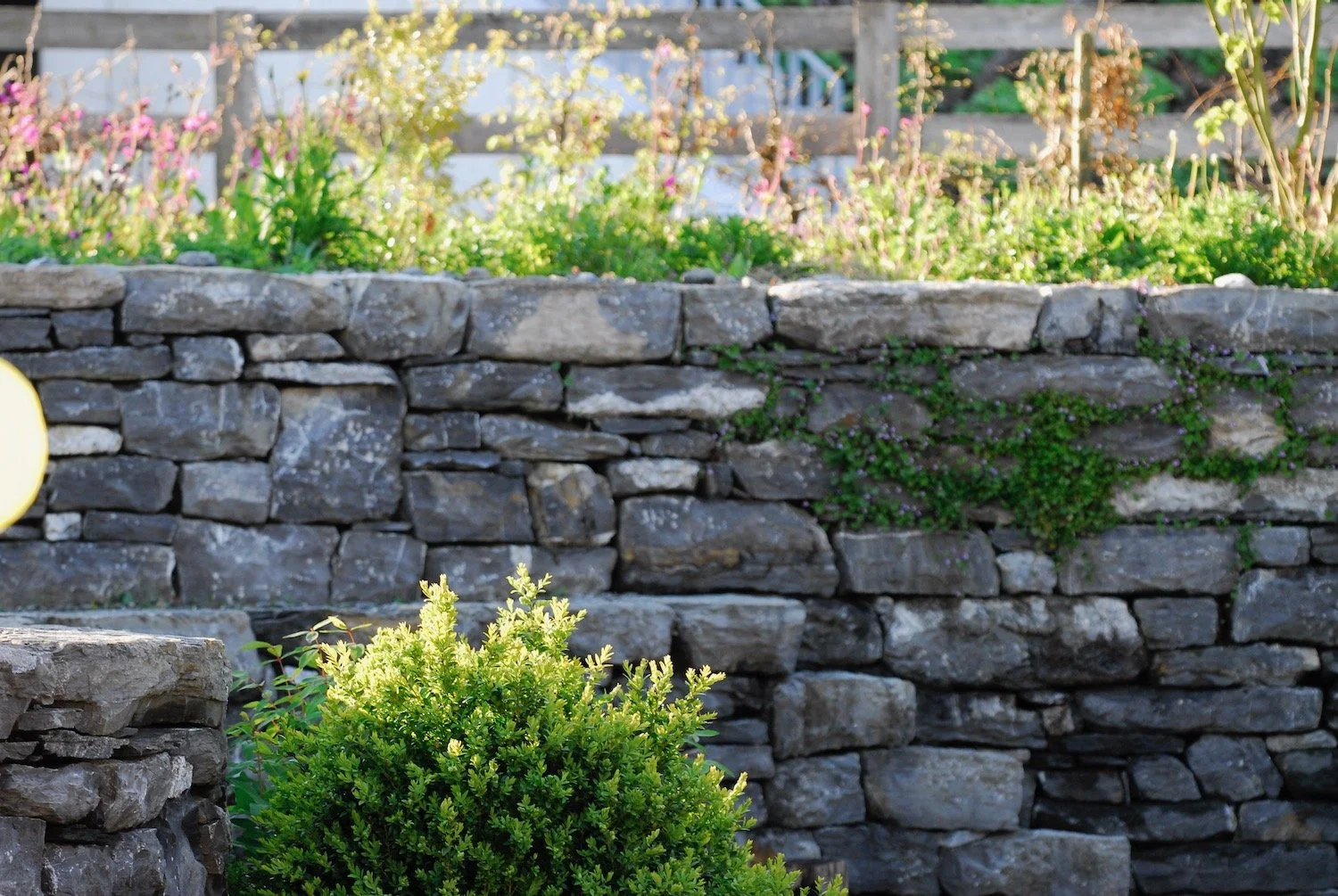 Mark Fetzer Gartengestaltung