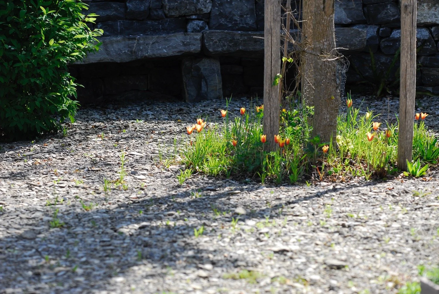 Mark Fetzer Gartengestaltung