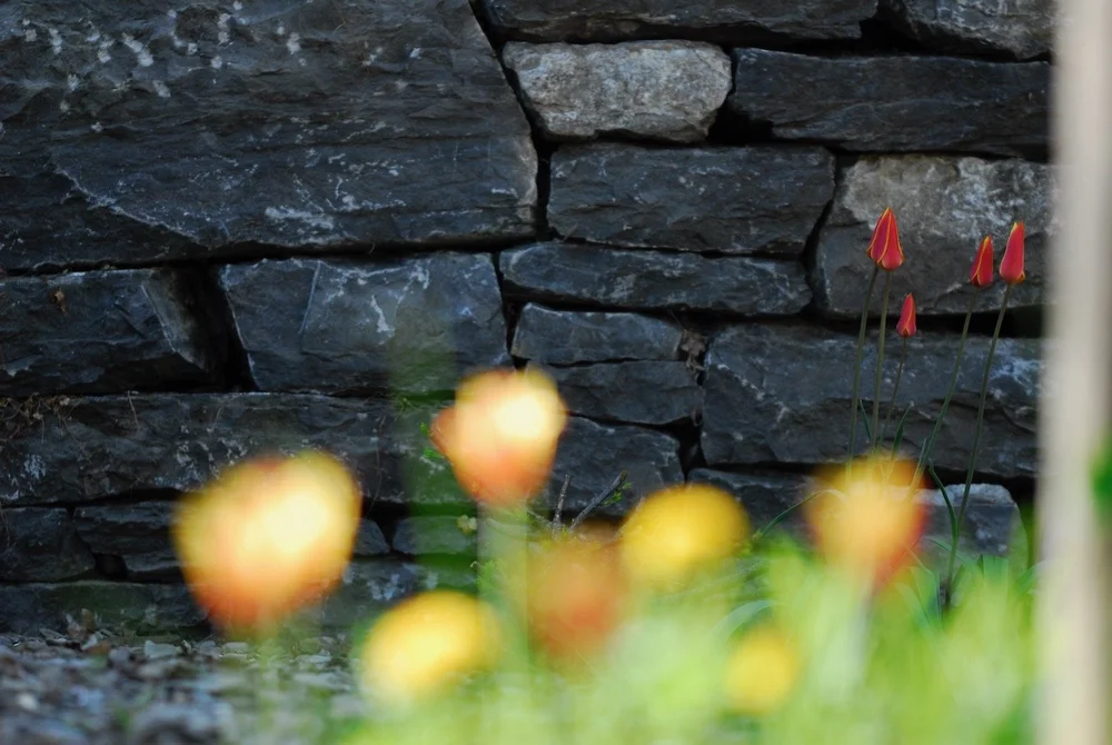 Mark Fetzer Gartengestaltung