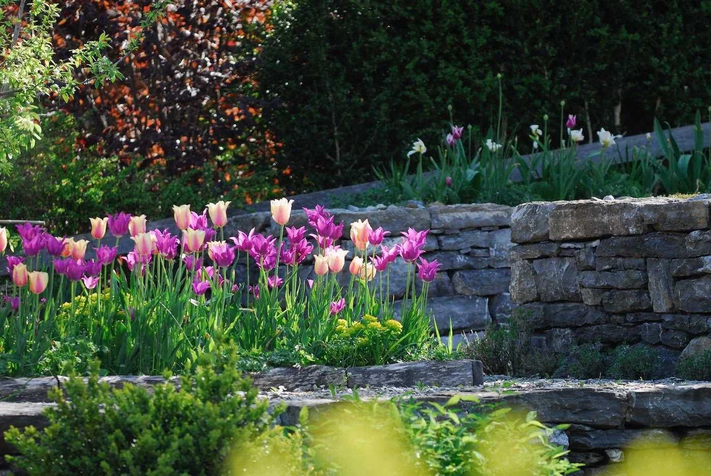 Mark Fetzer Gartengestaltung