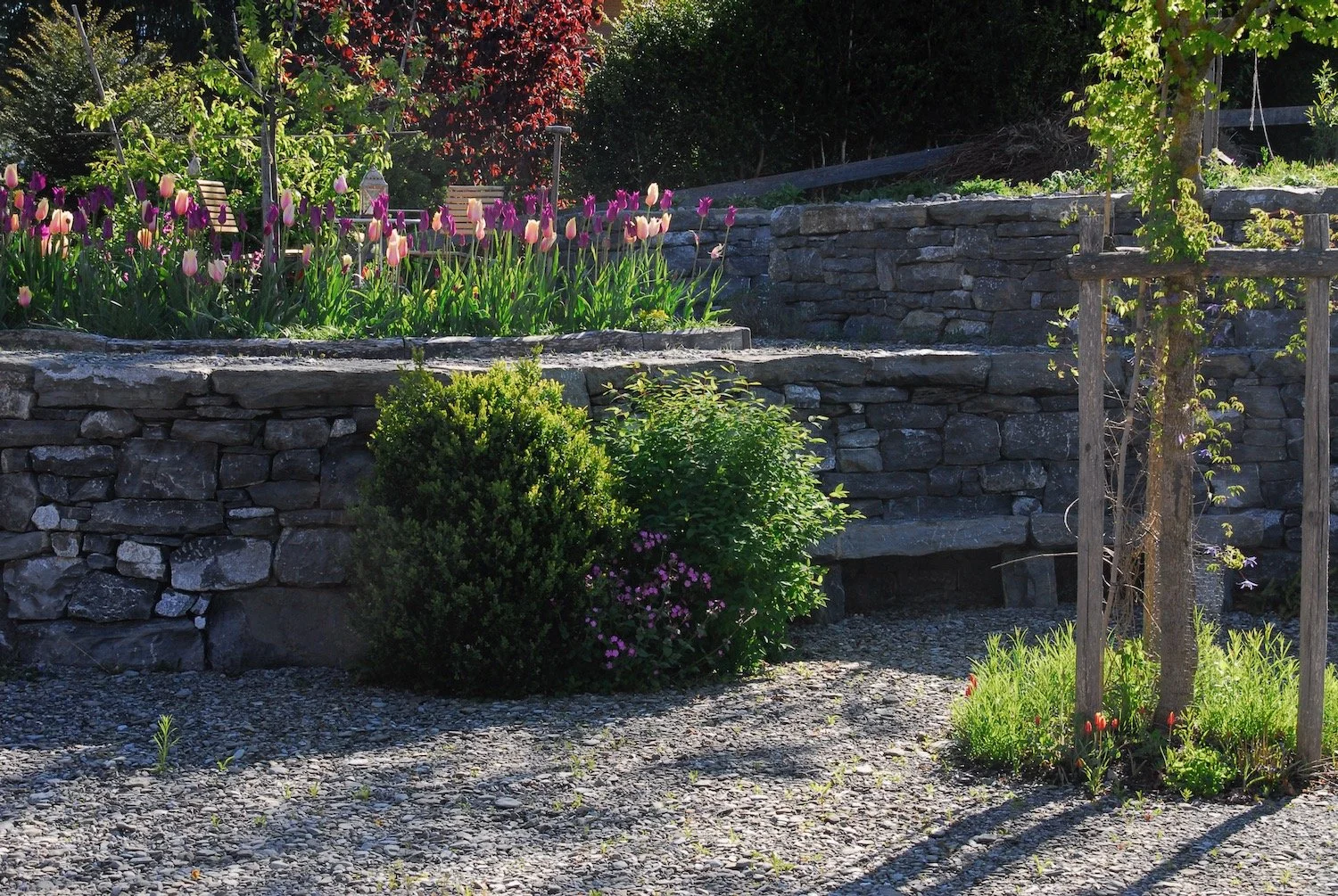 Mark Fetzer Gartengestaltung