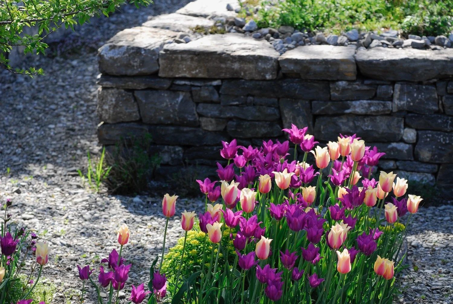 Mark Fetzer Gartengestaltung