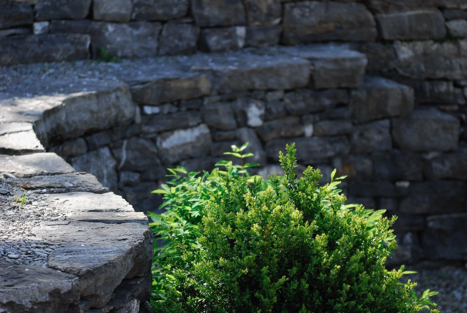 Mark Fetzer Gartengestaltung