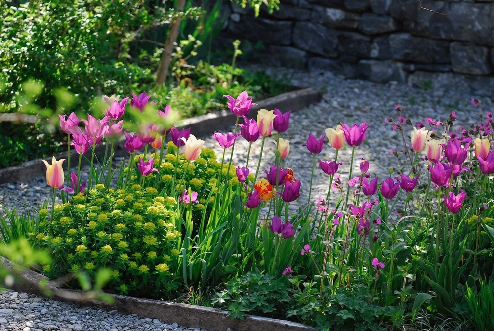 Mark Fetzer Gartengestaltung