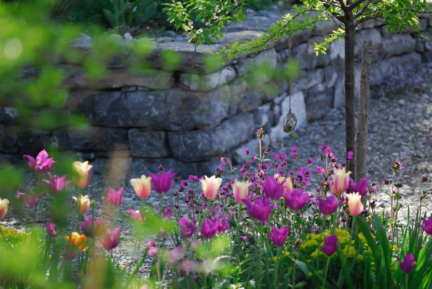 Mark Fetzer Gartengestaltung