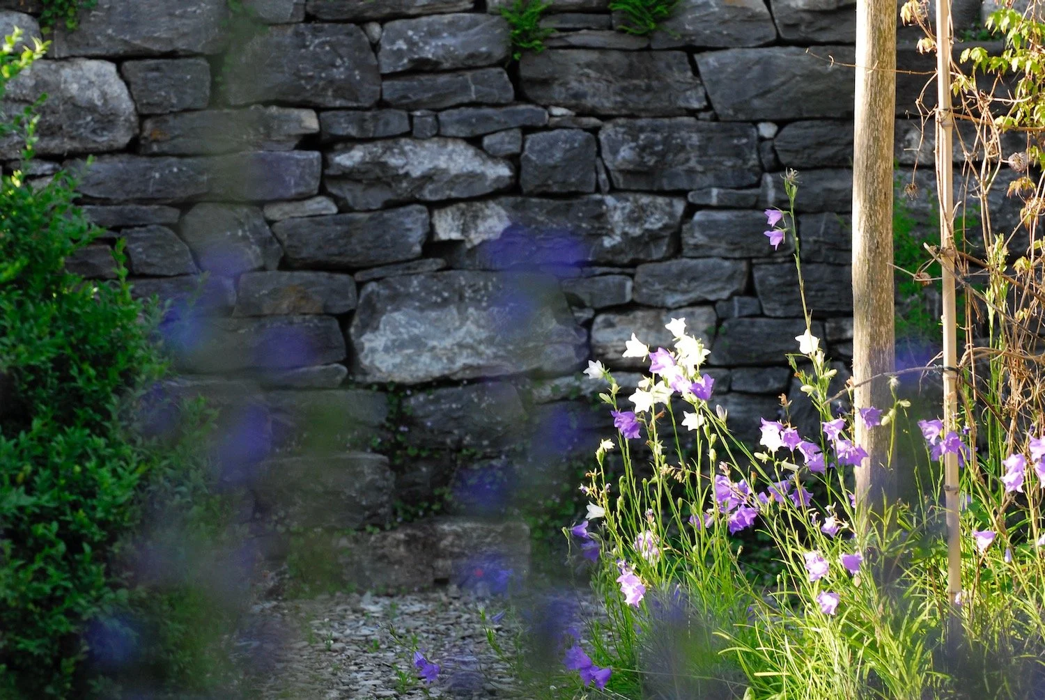 Mark Fetzer Gartengestaltung