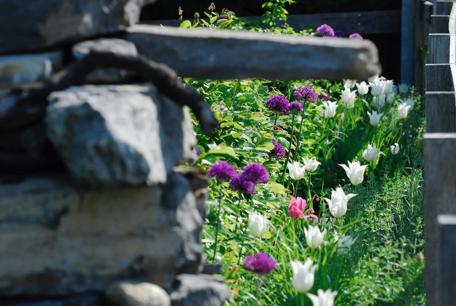 Mark Fetzer Gartengestaltung