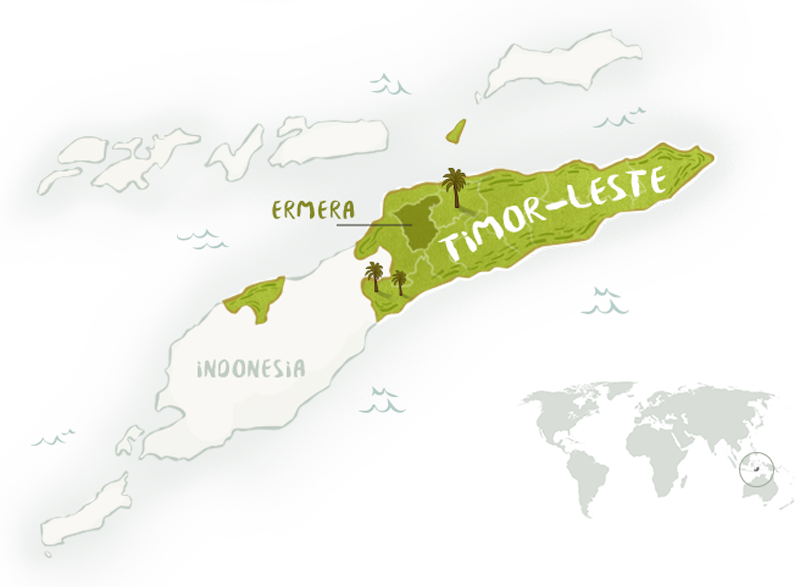 Learn more about Timor-Leste | Timor Mountain Coffee