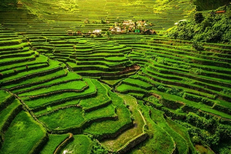 Notre top 10 des plus belles rizières d’Asie — Découvertes, le blog de ...