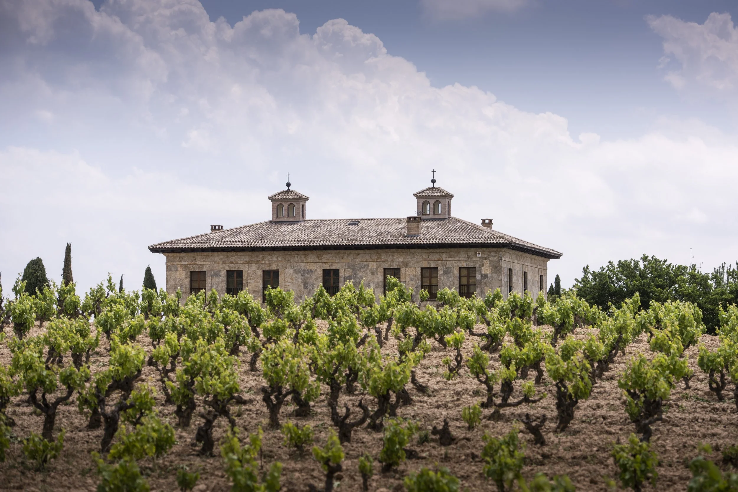 Torre de Oña, Rioja Alavesa, Spain — The Old Vine Conference