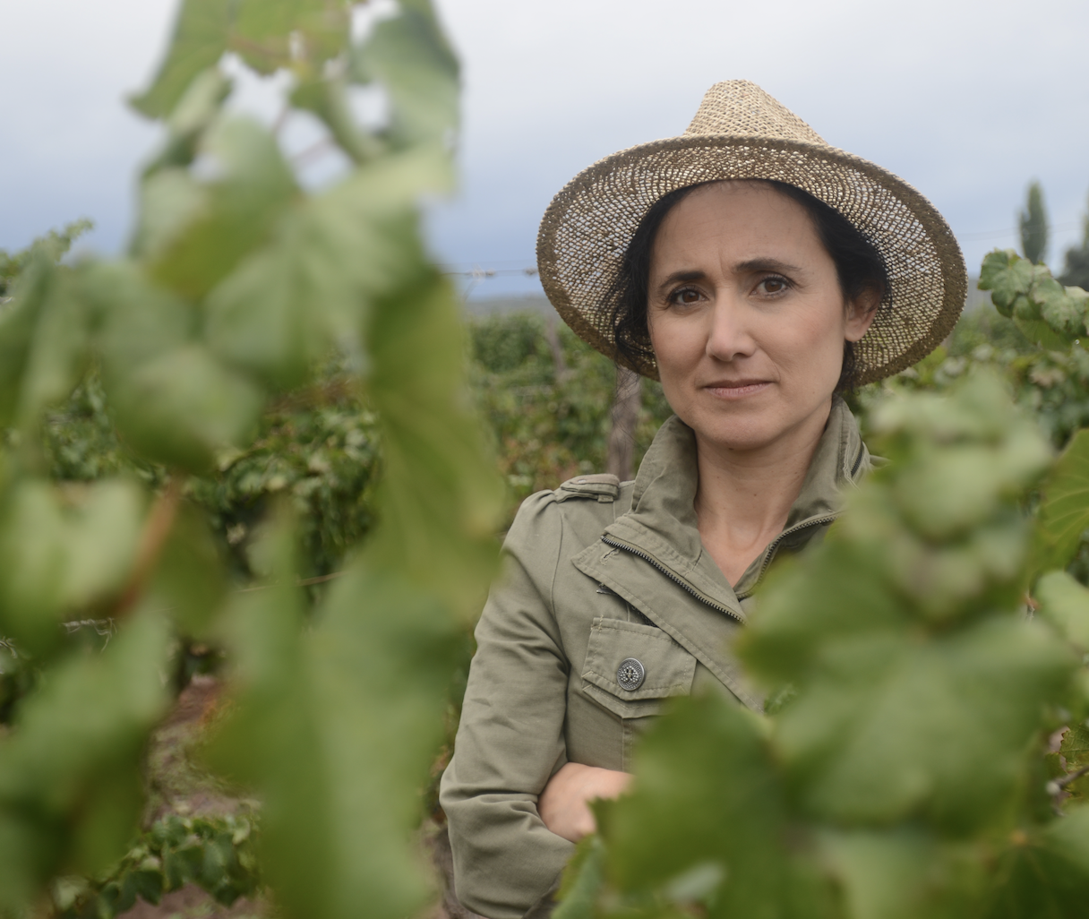 OLD VINE HERO AWARD 2023 - SHORTLIST — The Old Vine Conference