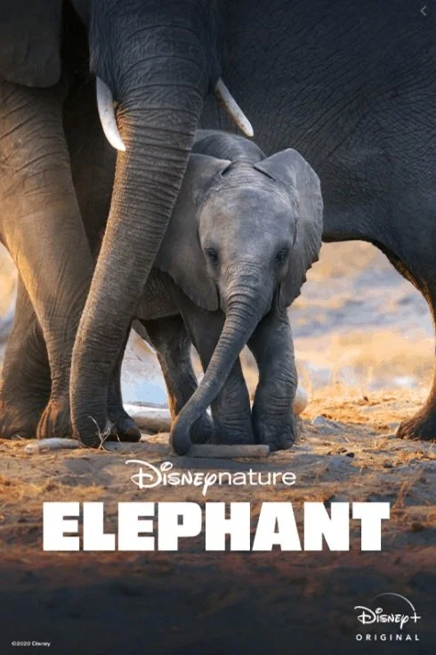 About 1 — Wildstar Films