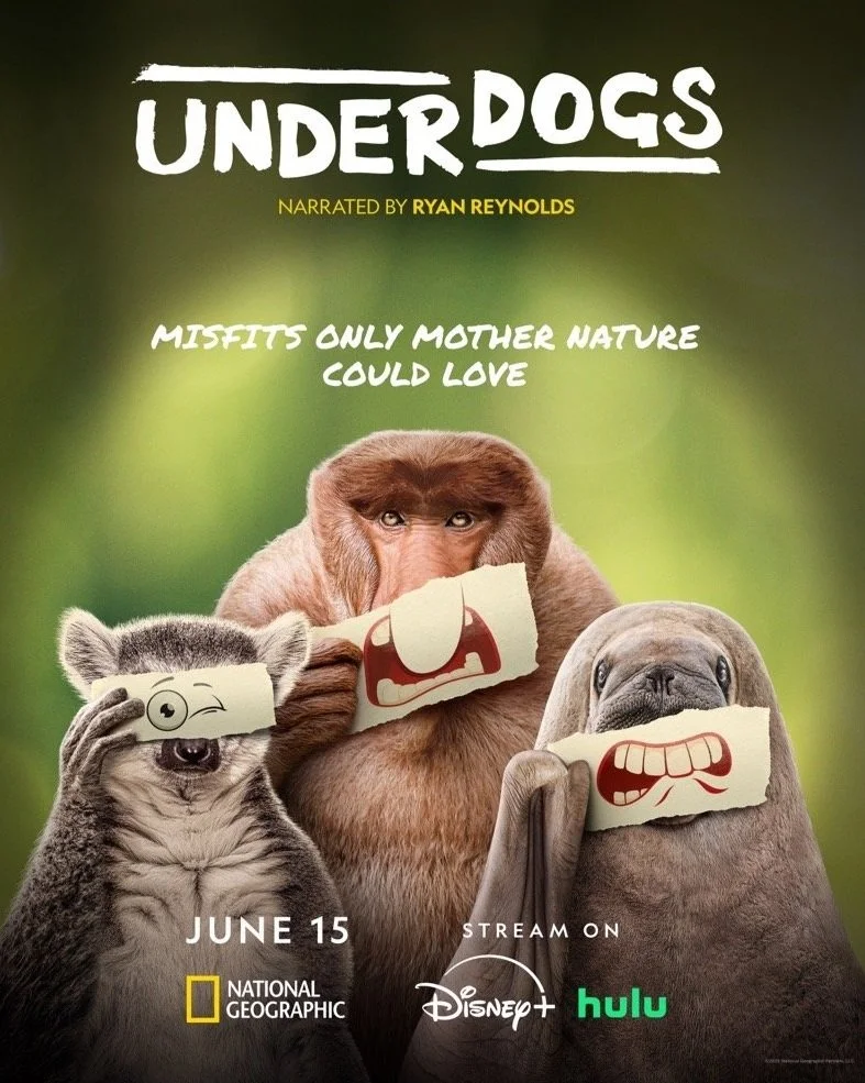 Inspirational and groundbreaking shows about the natural world ...