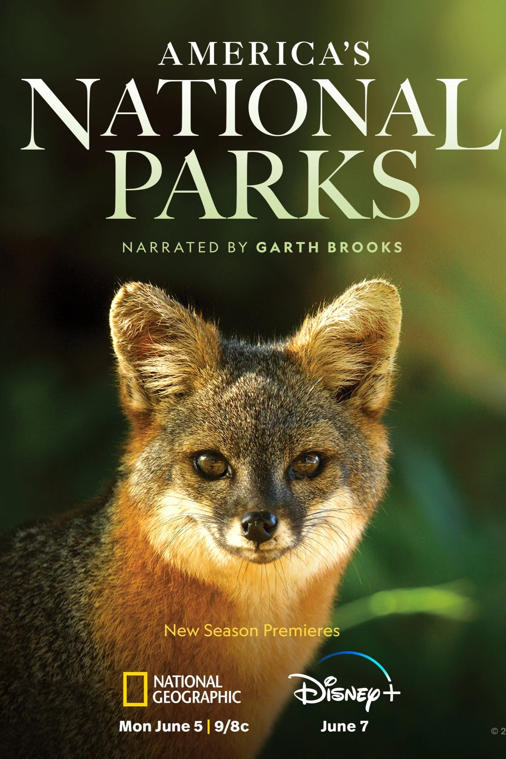 Inspirational and groundbreaking shows about the natural world ...