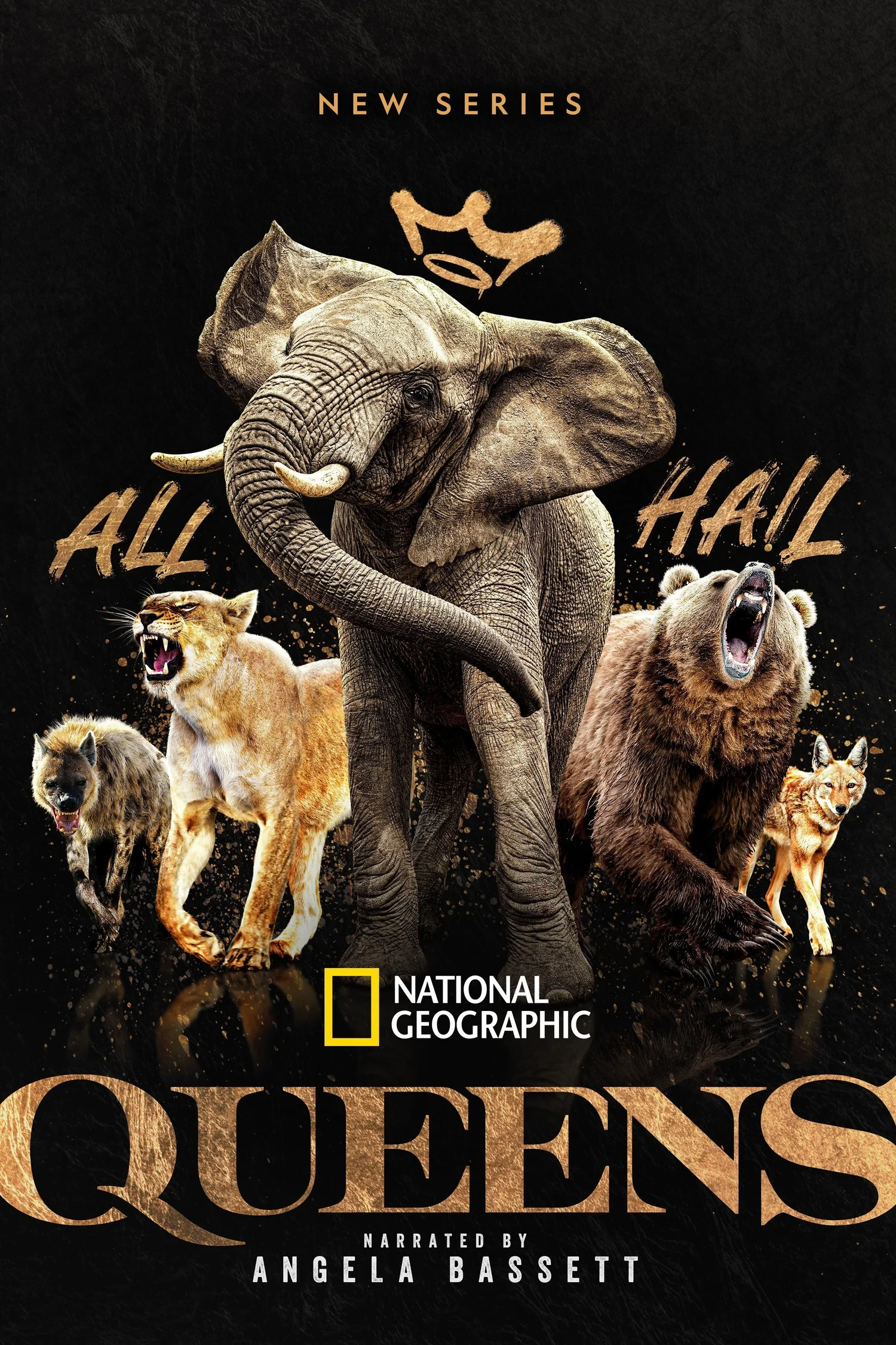 Inspirational and groundbreaking shows about the natural world — Wildstar Films