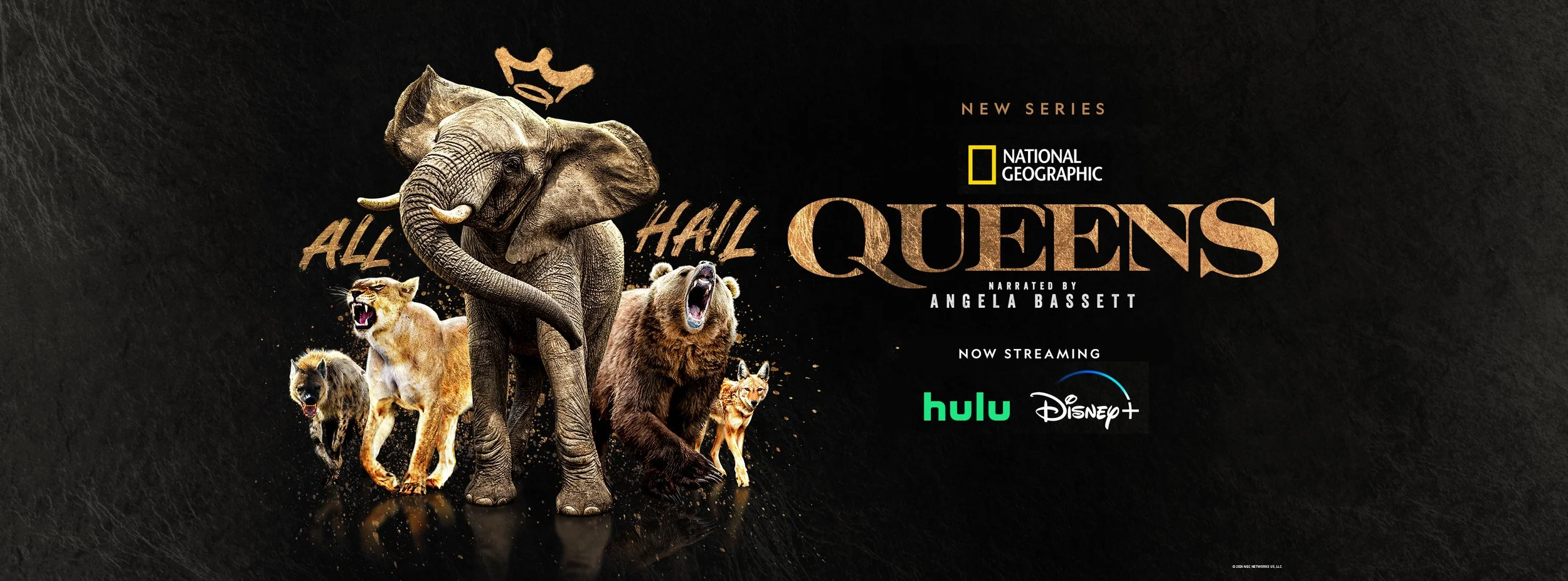 About 1 — Wildstar Films