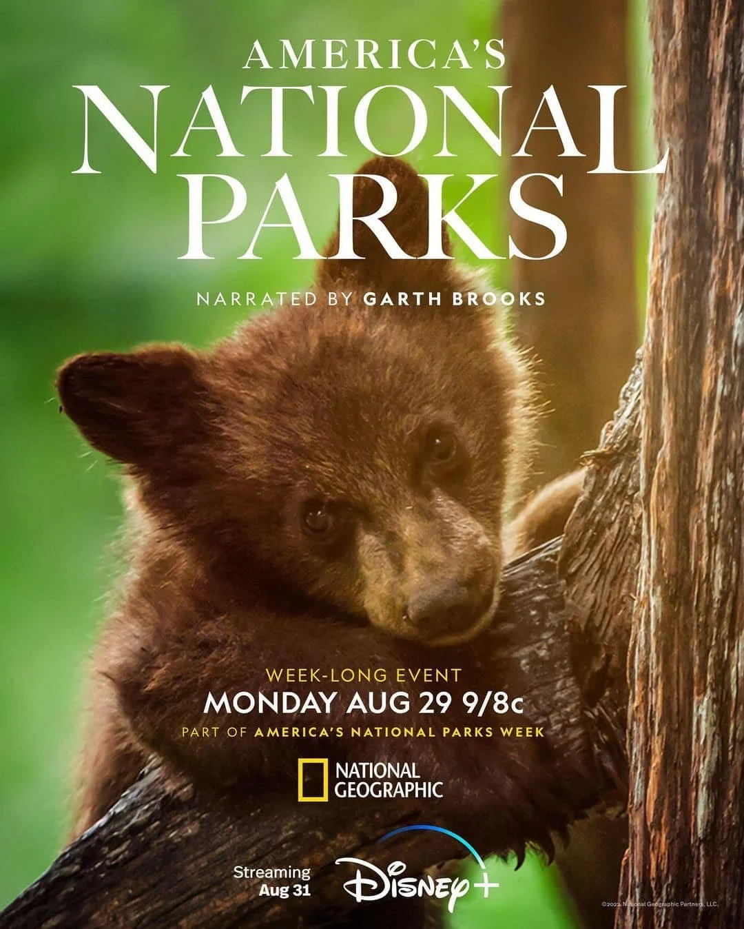 Inspirational and groundbreaking shows about the natural world ...