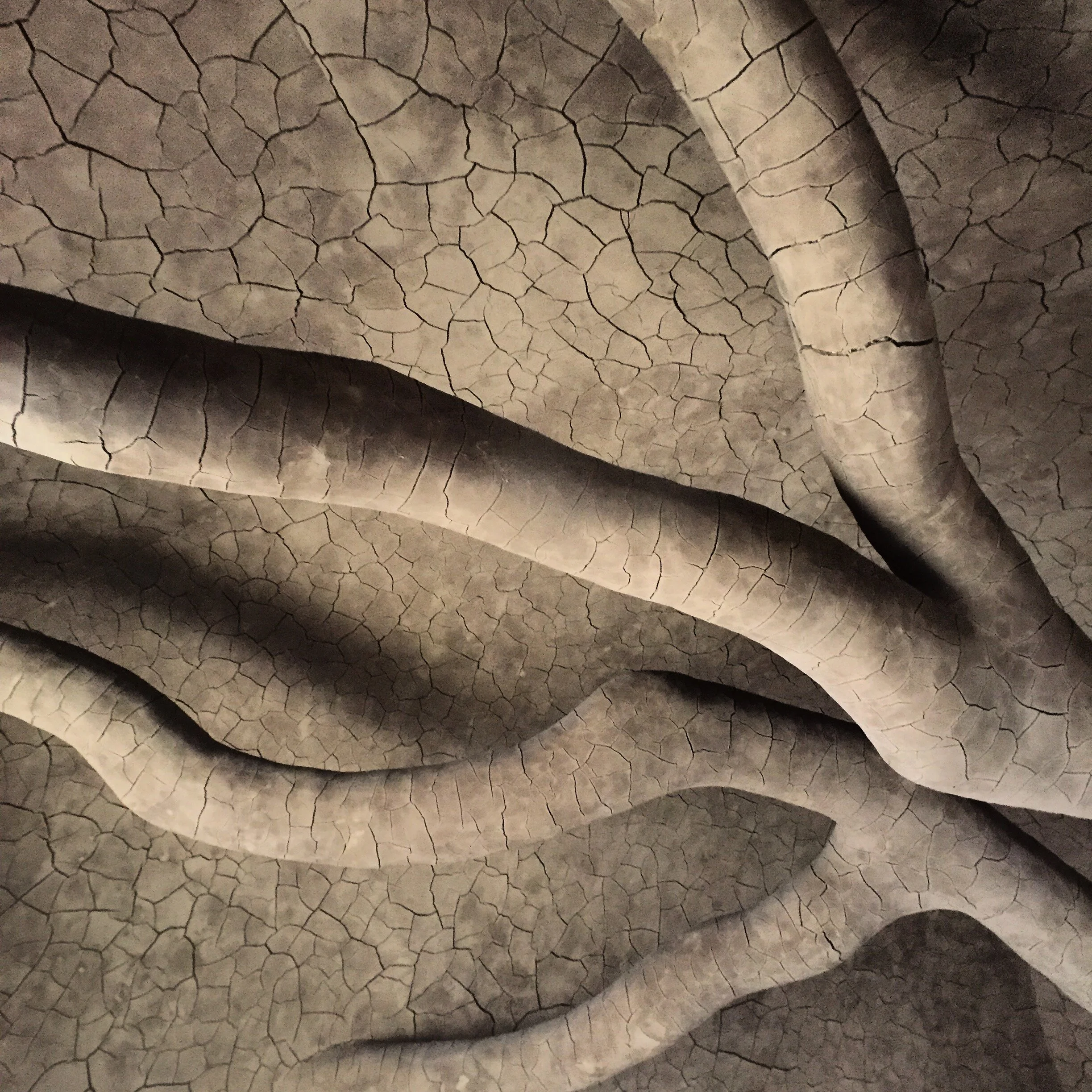 General 6 — Liz Gebhardt