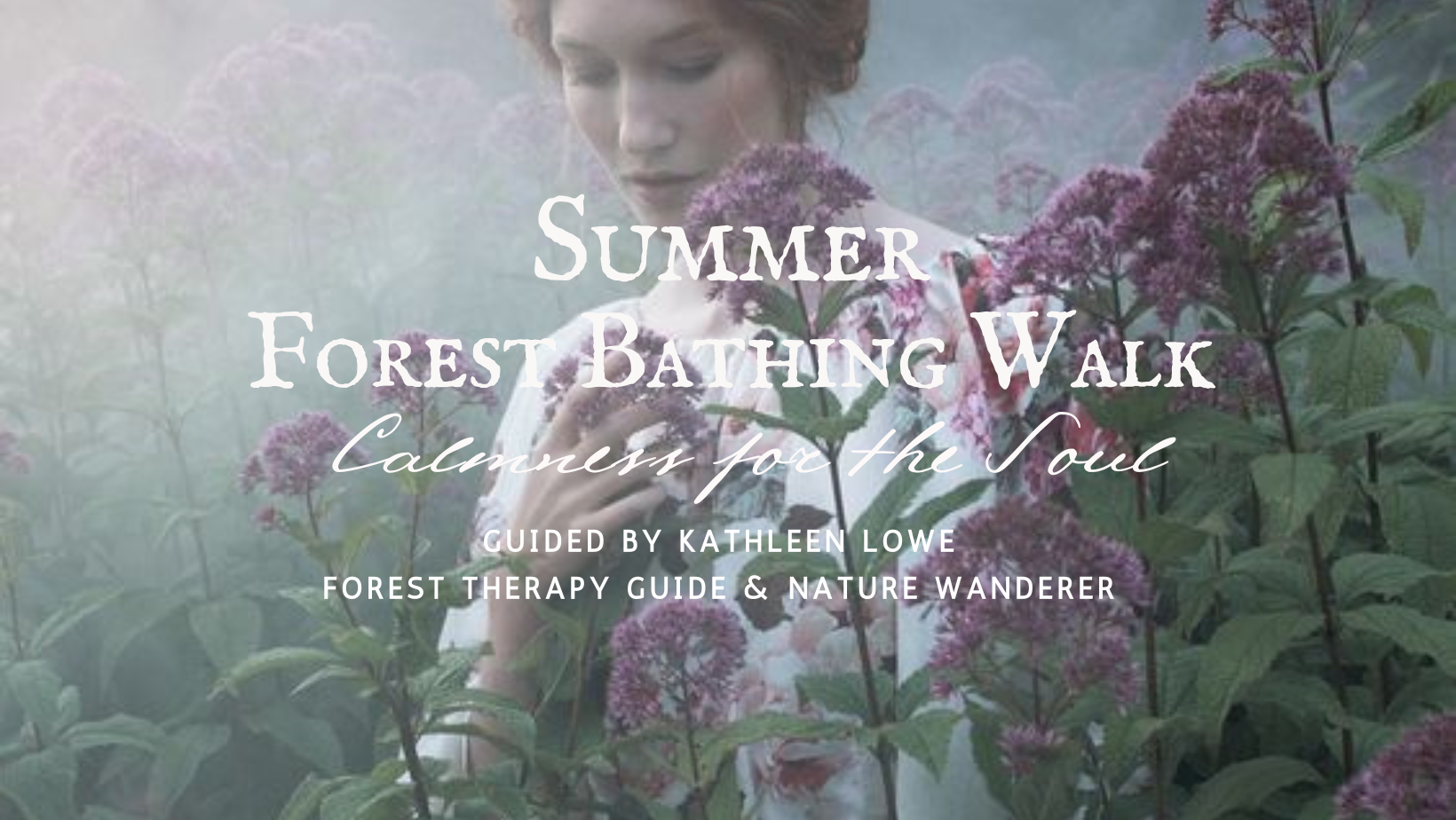 Women's Forest Bathing Walk at Haley Farm State Park Description: Join ...