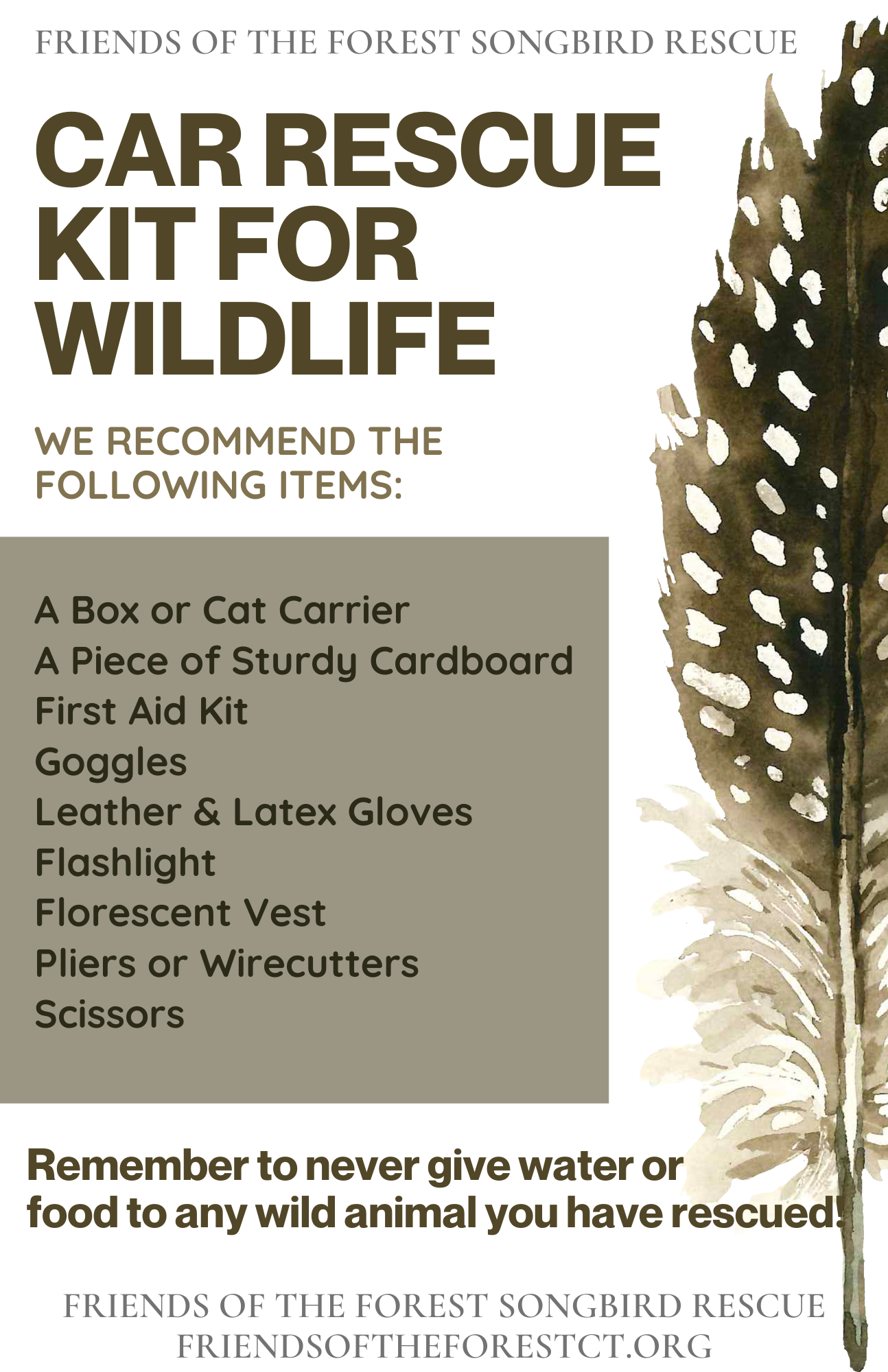 The Wildlife Rescue Kit Every Car Needs — Friends of the Forest
