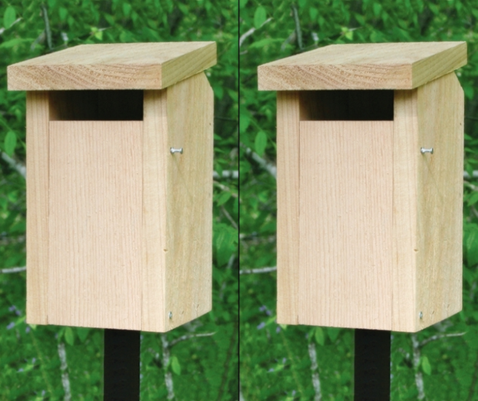 Nestbox Project — Friends of the Forest