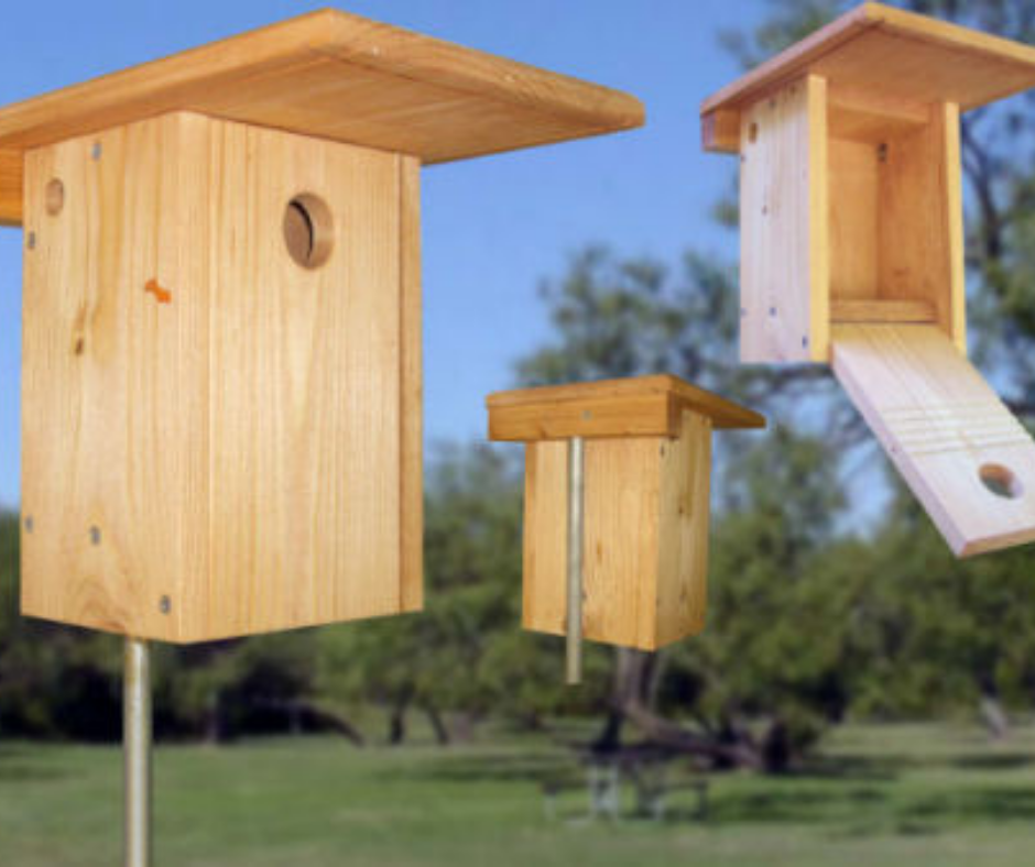 Nestbox Project — Friends of the Forest