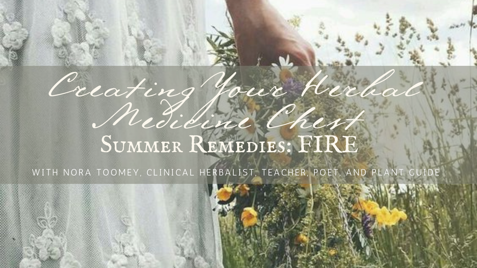 Creating Your Herbal Medicine Chest: Summer Remedies |Fire Element ...