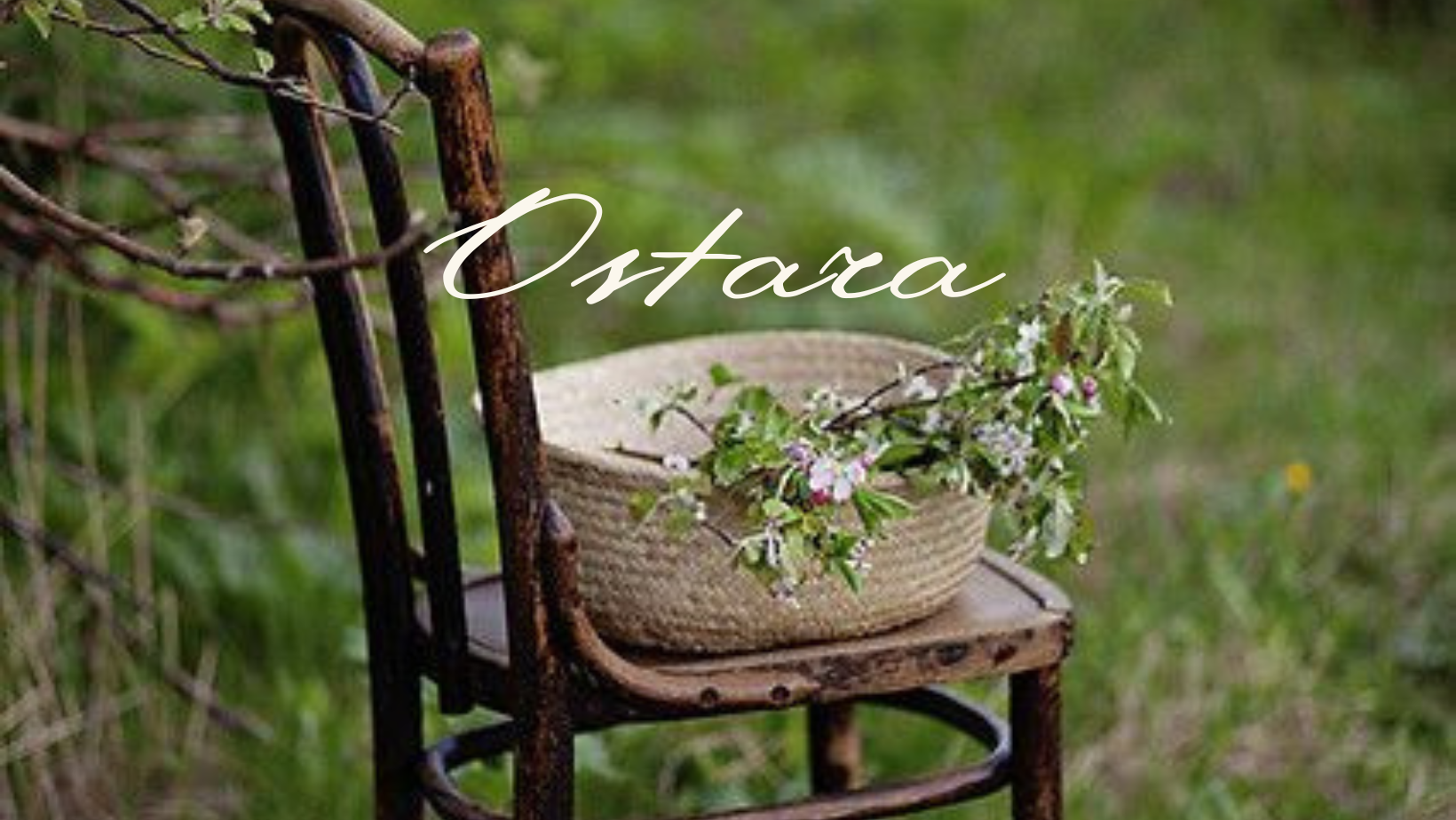 Embracing the Spirit of Ostara: A Celebration of Spring for Women ...