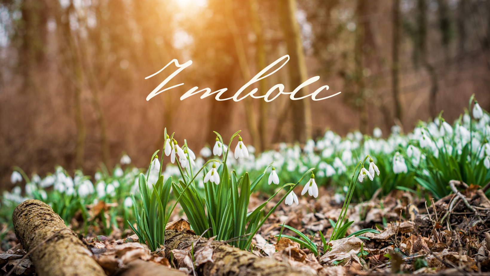 Imbolc: Blessings, Rituals & Meaning — Friends of the Forest