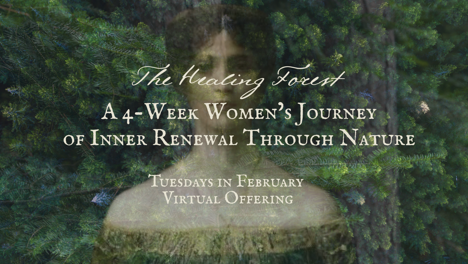 The Healing Forest: A 4-Week Women’s Journey of Inner Renewal Through ...