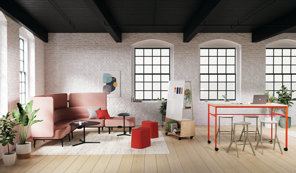 Senator — Beall&Co