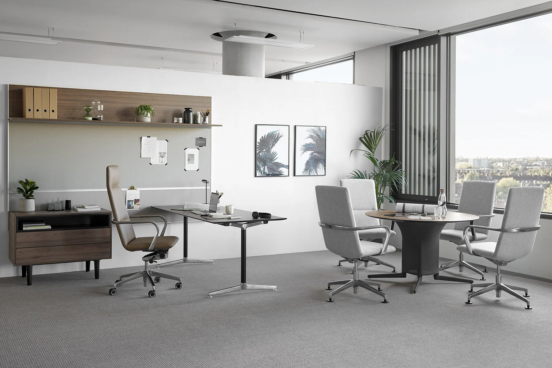 Senator — Beall&Co