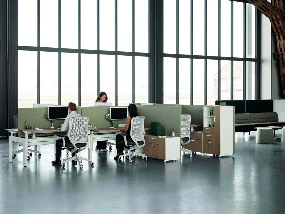 Senator — Beall&Co