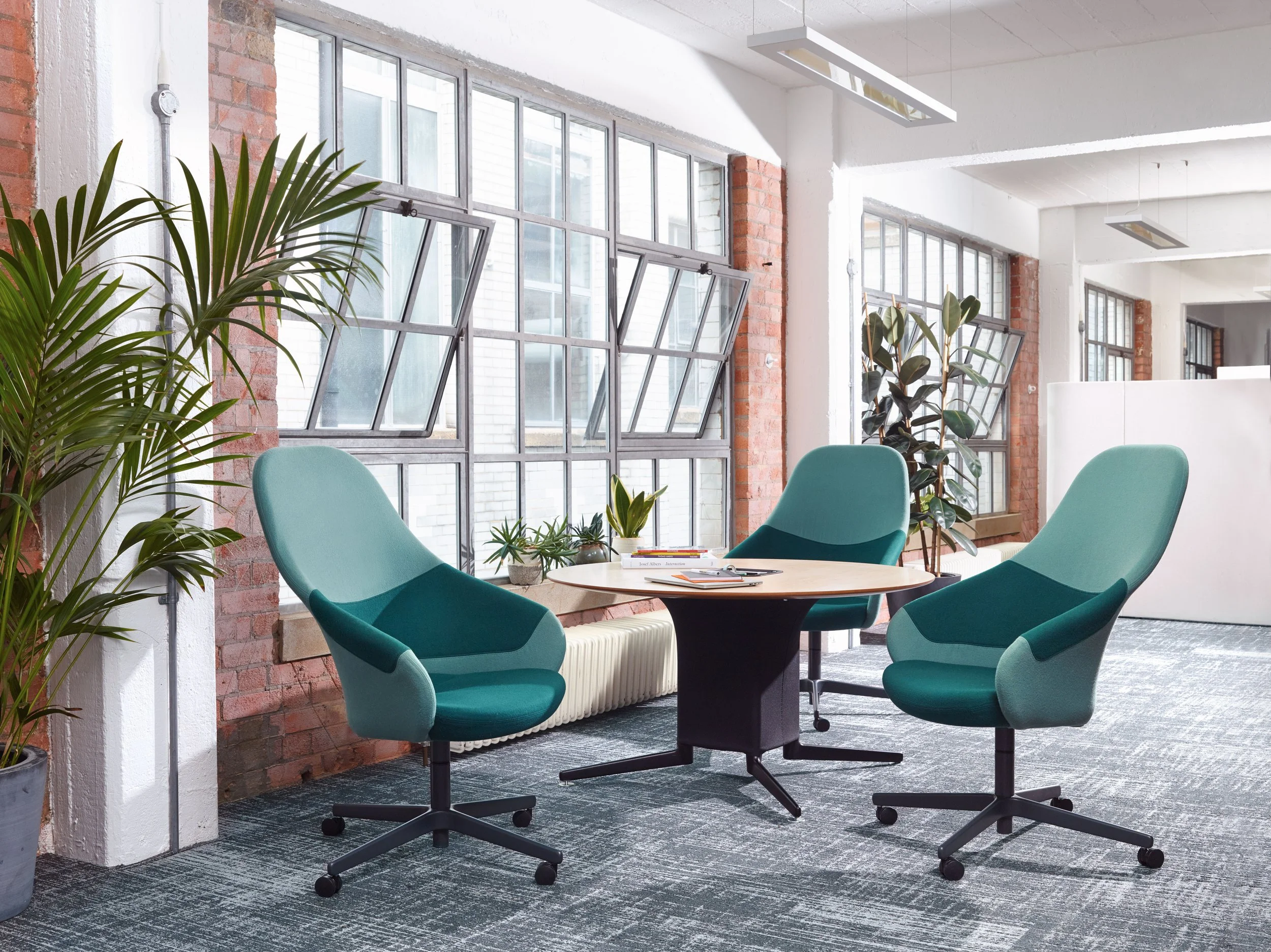 Senator — Beall&Co