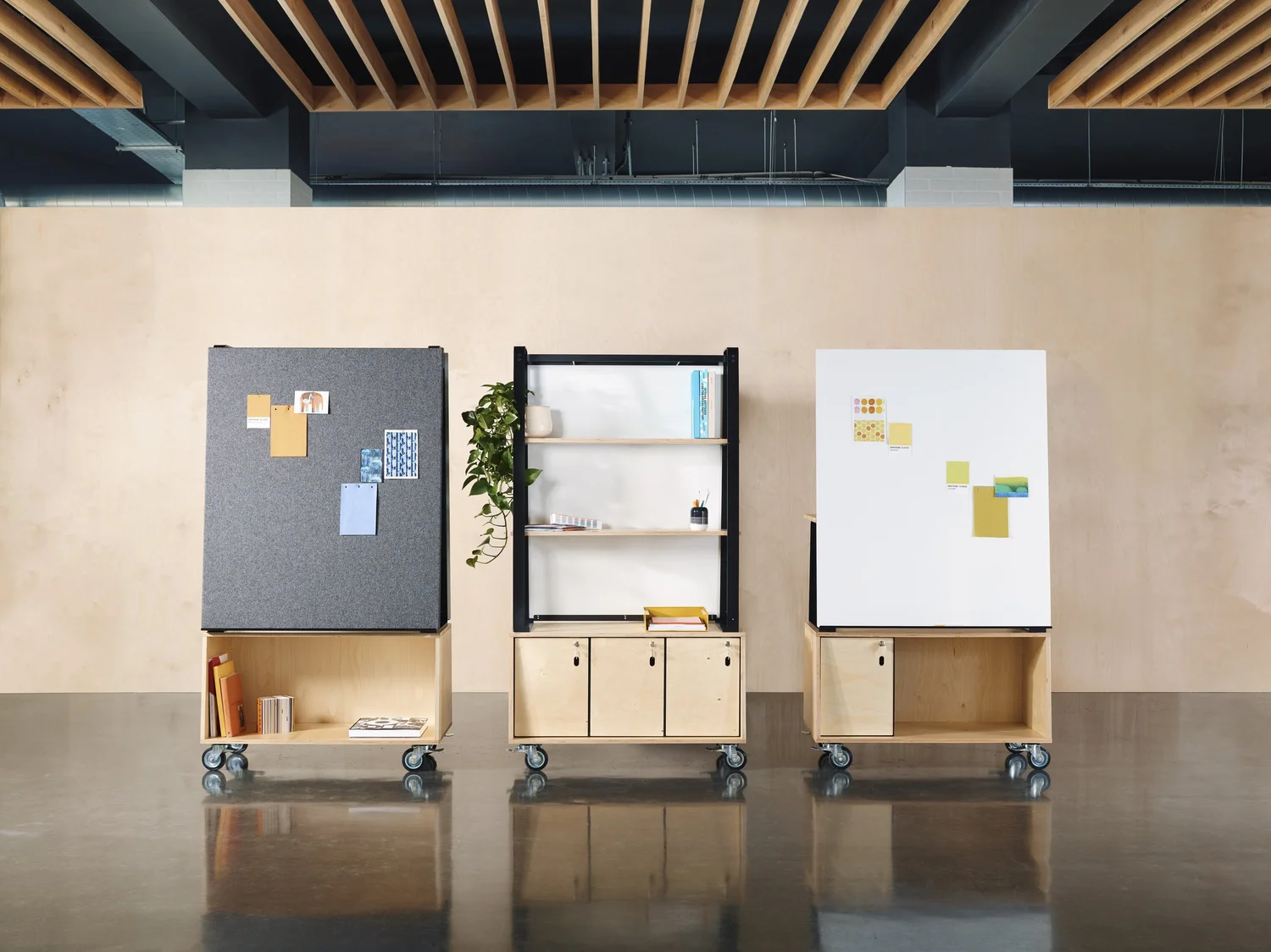 Senator — Beall&Co