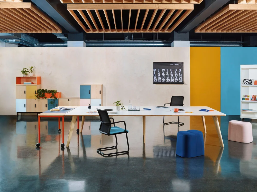 Senator — Beall&Co