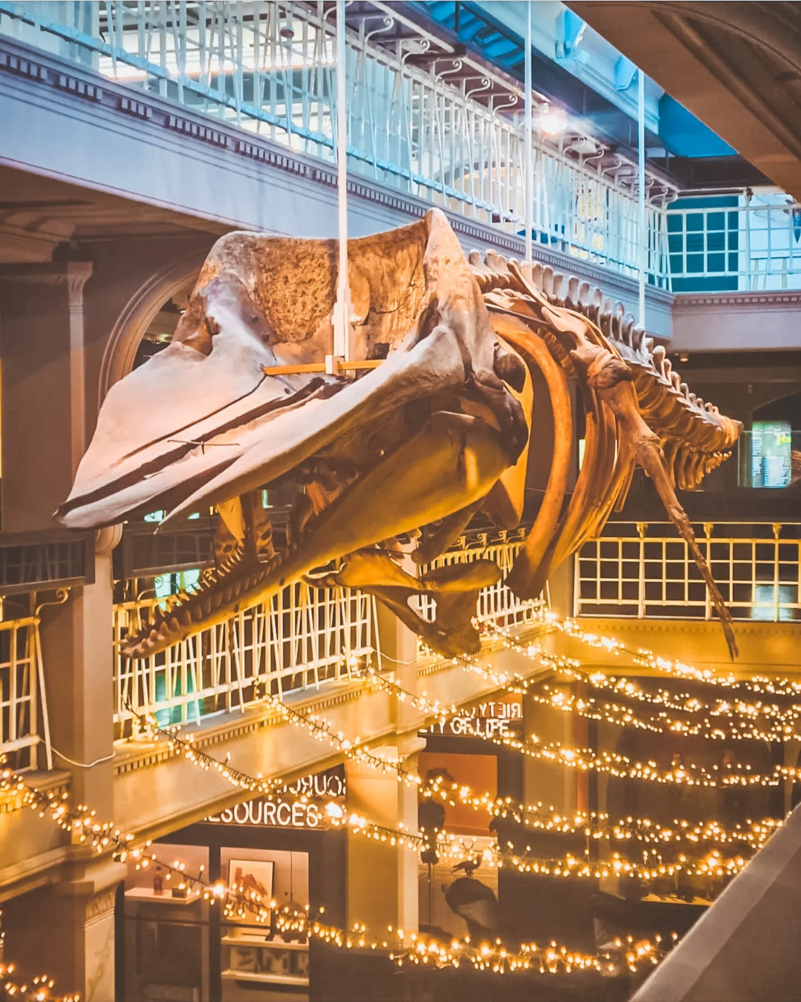 11 BEST THINGS TO DO IN MANCHESTER, ENGLAND - BUCKET LIST EXPERIENCES ...