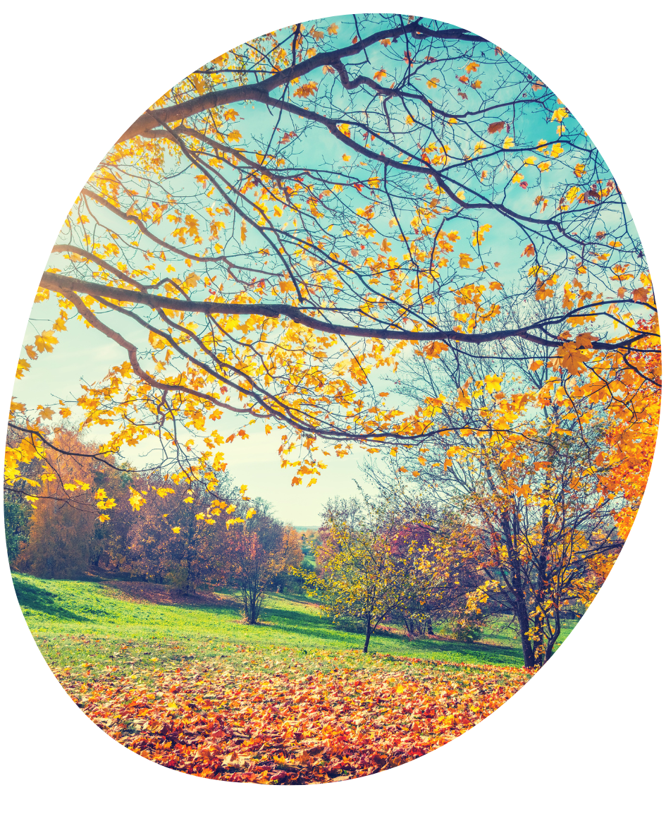 BEST DAY TRIPS IN ENGLAND FOR SOLO FEMALE TRAVELERS IN AUTUMN ...