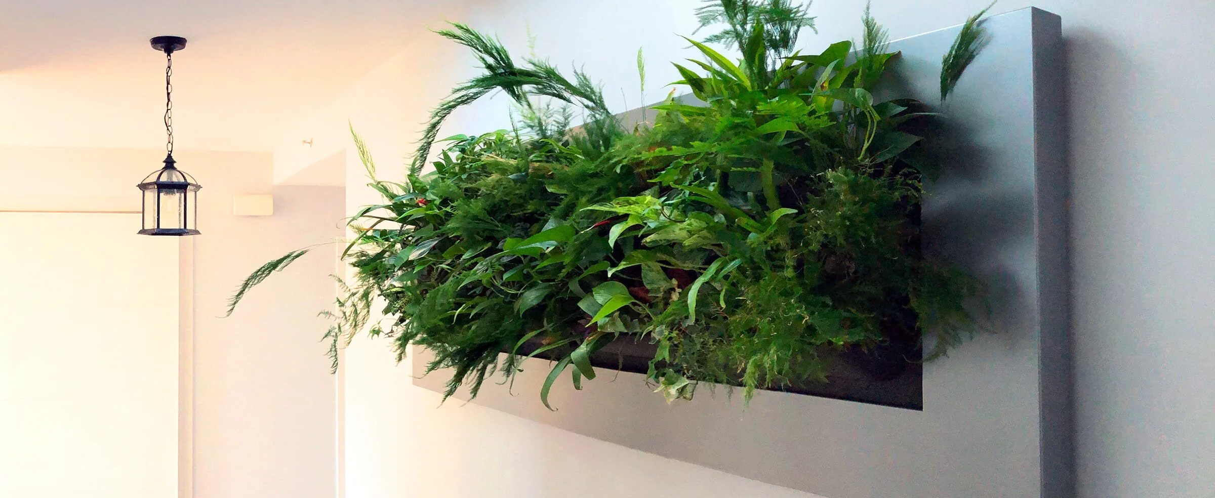 DIY Living Walls for Every Budget and Space — Urbanstrong