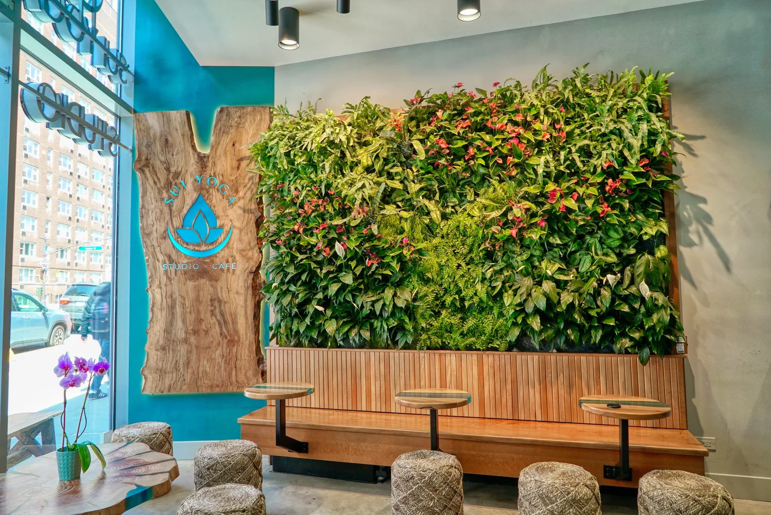 Sui Yoga Living Wall — Urbanstrong