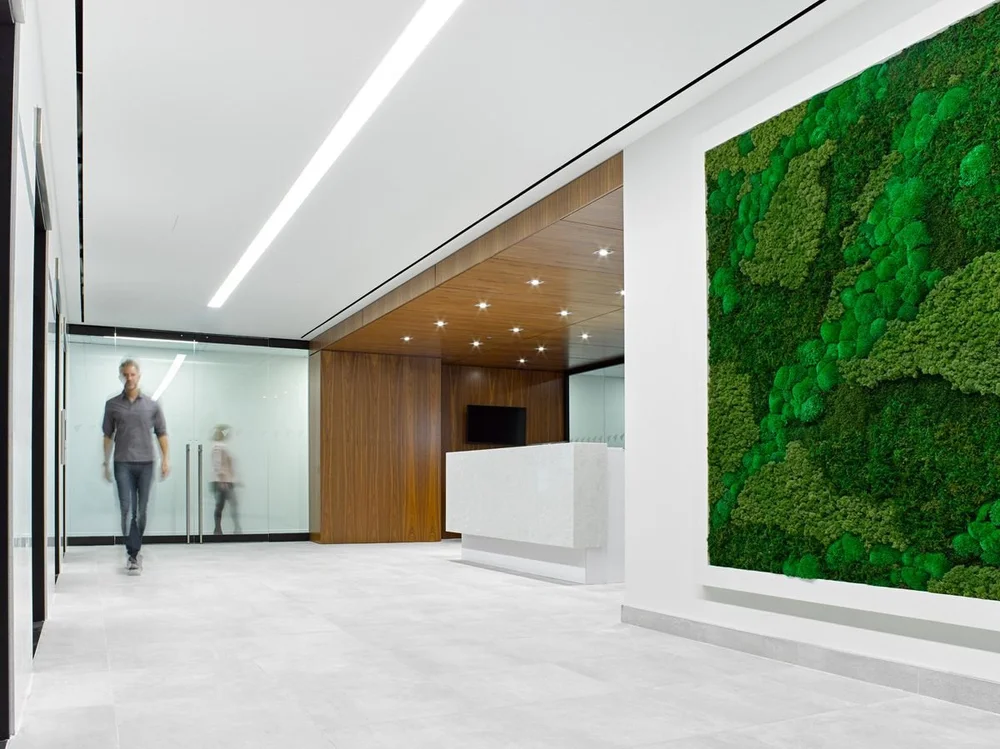 Moss Wall Art | Preserved Moss Wall Art | Moss Wall & Plant Wall