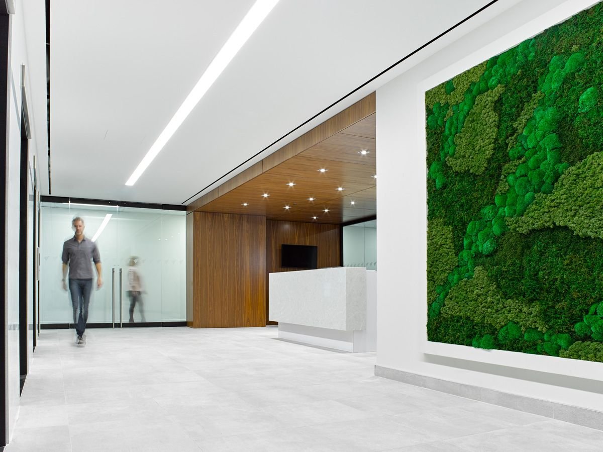 Moss Wall Art | Preserved Moss Wall Art | Moss Wall & Plant Wall