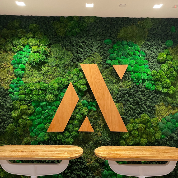 Moss Wall Art | Preserved Moss Wall Art | Moss Wall & Plant Wall