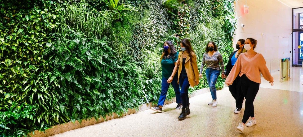 The Role of Living Walls in Higher Education Spaces — Urbanstrong