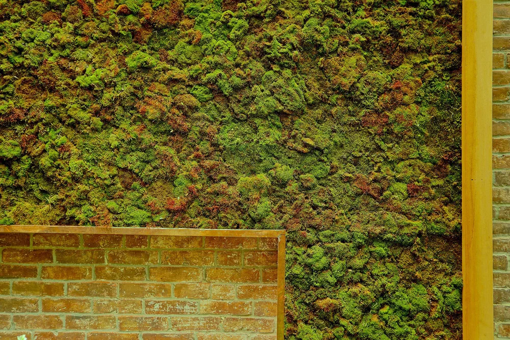 Living Green Walls - Design, Build, Maintenance & Installation