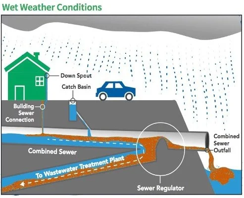 How Green Roofs Prevent Sewer Overflow — Urbanstrong
