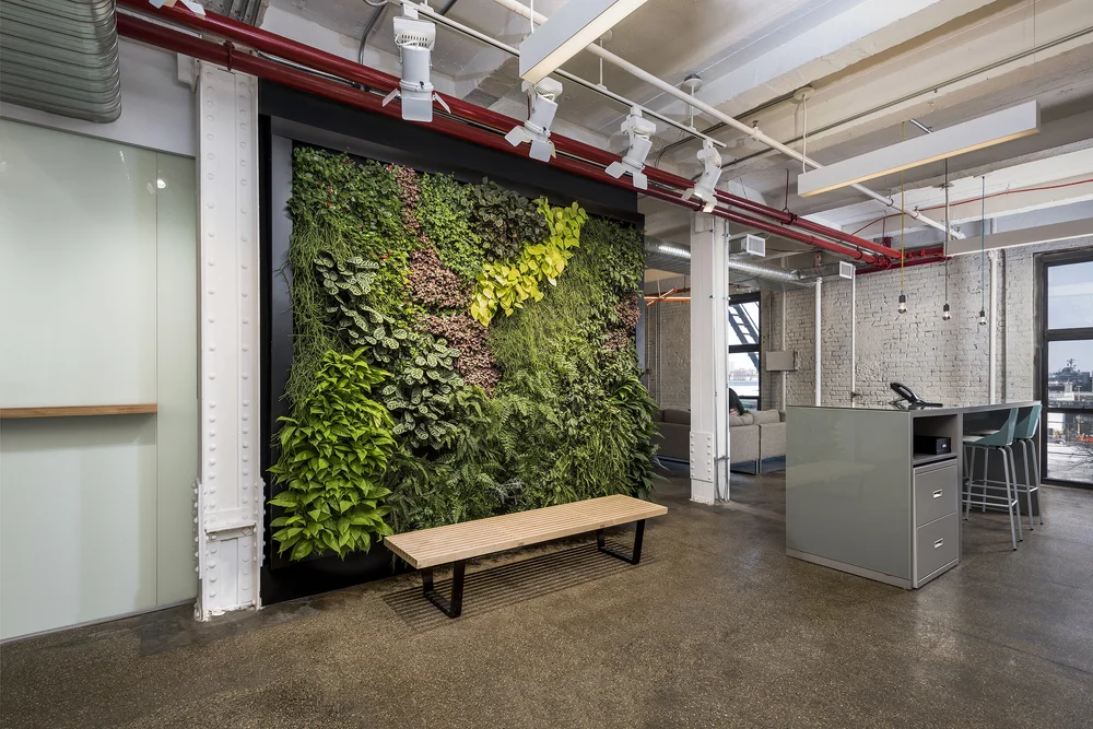 Living Green Walls - Design, Build, Maintenance & Installation