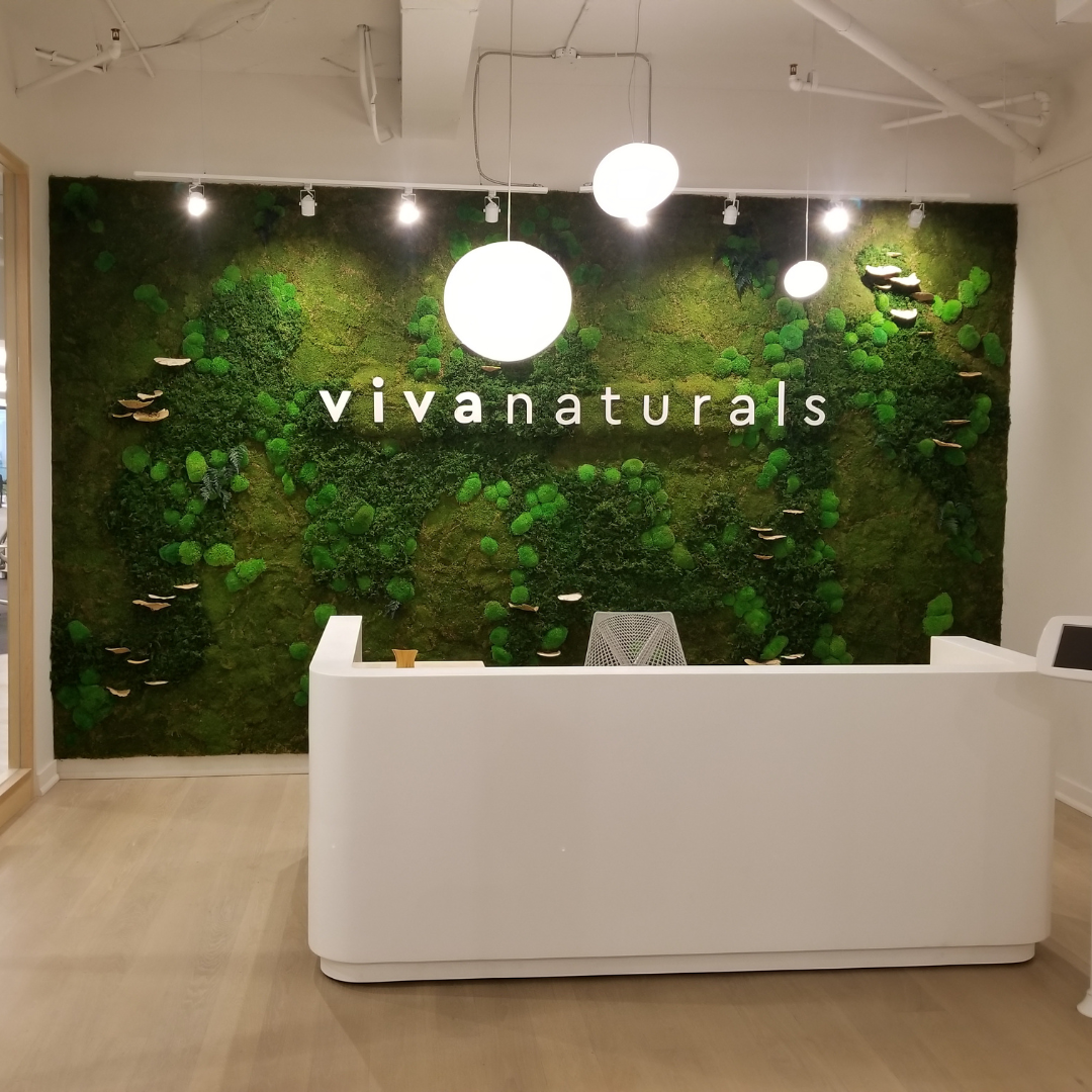 Moss Wall Art | Preserved Moss Wall Art | Moss Wall & Plant Wall