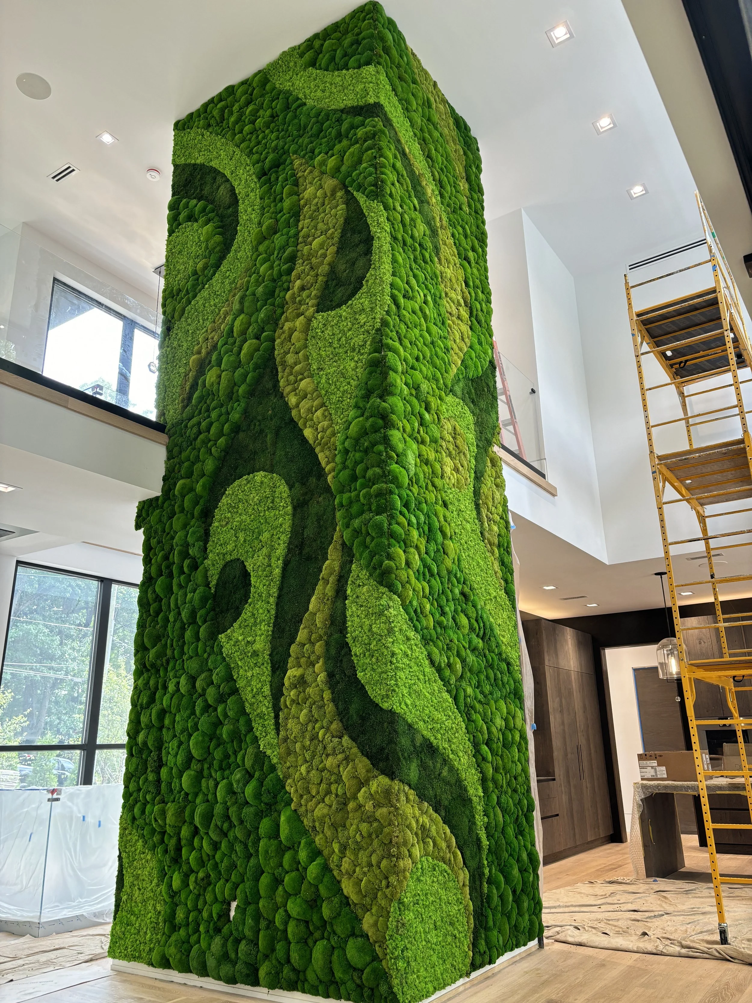 Moss Wall Art | Preserved Moss Wall Art | Moss Wall & Plant Wall