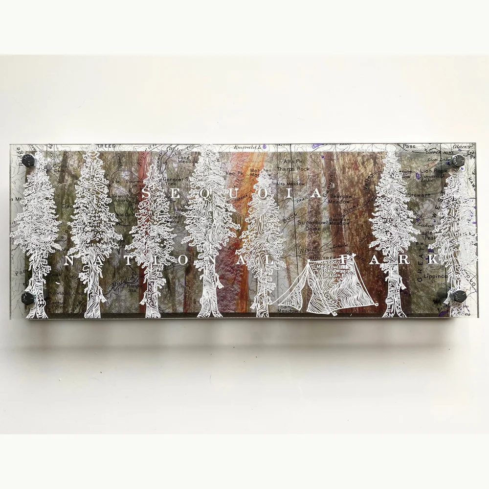 Joshua Tree National Park — Modern Terrain